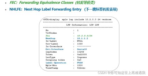 华为hcia进阶笔记：mpls 基本原理 华为mpls csdn博客