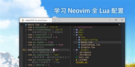 Neovim 插件管理与配置 知乎