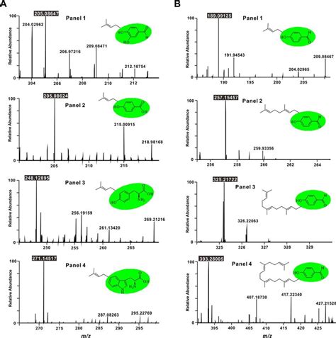 Hr Esi Ms Spectra Of Prenylation On Different Substrates By Vib Pt A