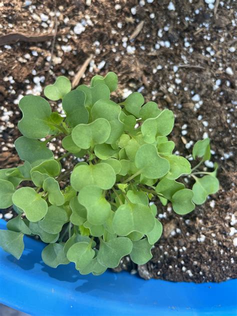 The Blackbelt Experience Season 6 Episode 8 By The Real Blackbelt