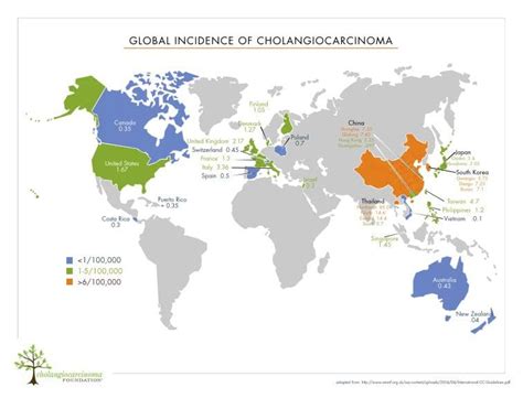 Key Statistics Cholangiocarcinoma Australia