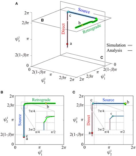 Relative Phases For Ψ¹ Of Periodic Solutions A Shown In ψ11 ψ21 ψ31