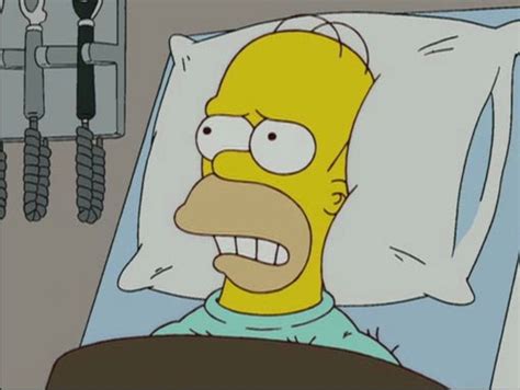 The Simpsons Simpson Homer