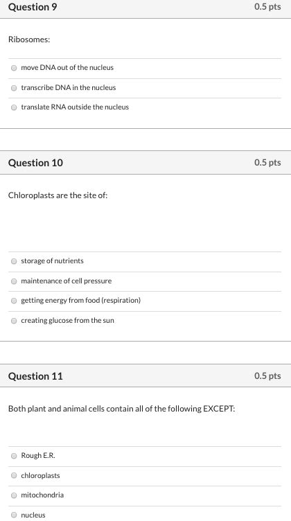 Solved Question Pts The Cell Wall Is The Only Cell Chegg