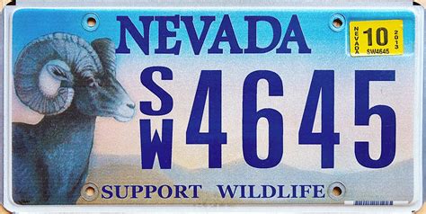 Nevada 5 Y2k