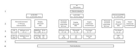 Stepwise Diagnostic Approach An Algorithm Used With The Aim Of Download Scientific Diagram