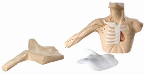 Polymerised Rubber Skin Color Picc Line Peripherally Inserted Central Catheter At ₹ 132600