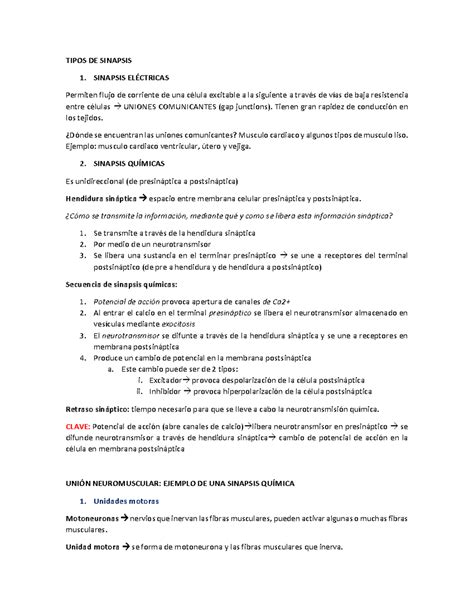 Tipos De Sinapsis Tipos De Sinapsis 1 Sinapsis ElÉctricas Permiten