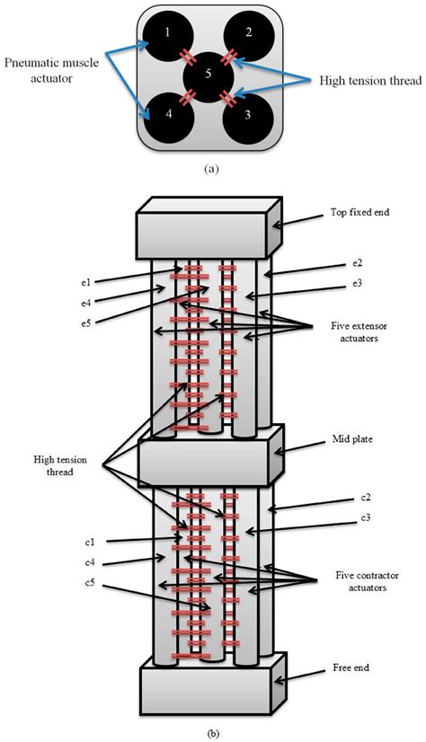 Novel Design And Position Control Strategy Of A Soft Robot Arm