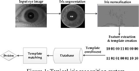 Figure 2 From Predicting And Classifying Gender From The Human Iris A Survey On Recent Advances