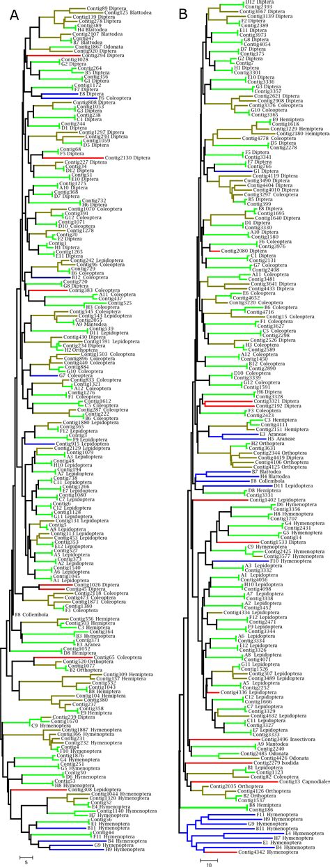 Dna Metabarcoding Of Insects And Allies An Evaluation Of Primers And