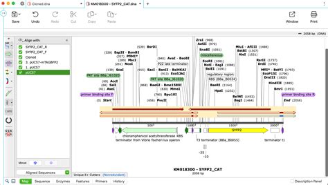 Snapgene 8 0产品特征 Snapgene 分子生物学软件 Molecular Biology 上海卡贝信息技术有限公司