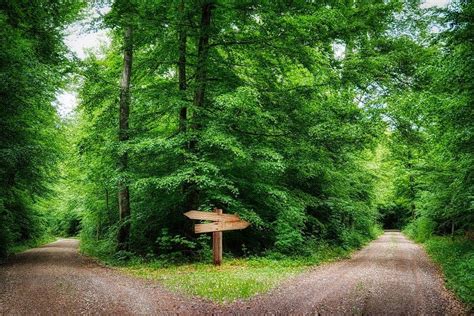 an introduction to decision trees and predictive analytics towards