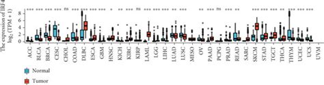 expression of interferon regulatory factors irfs in different