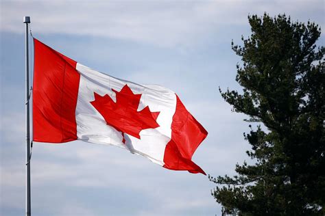 Trump Ameaça Aumentar Para 50 Tarifas Sobre Aço E Alumínio Do Canadá