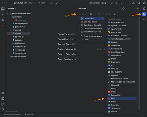 redis and goland jetbrains guide