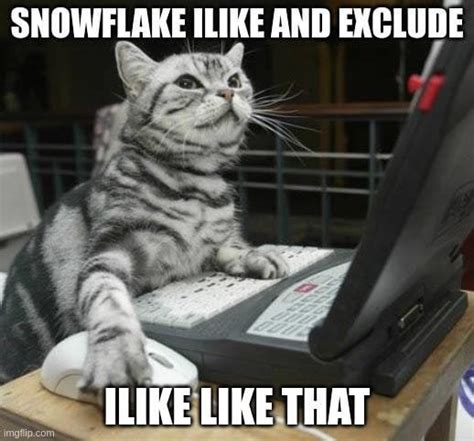 How Snowflake Exclude And Ilike Protects You From Bad Sql Ilike It
