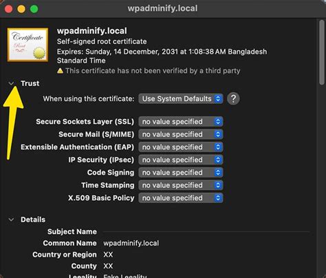 How To Enable HTTPS On Localhost Using LocalWP App