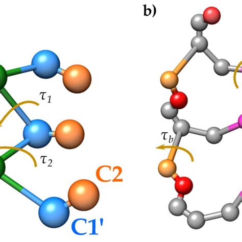 Rna Cg Representations A Rna Three Bead Model The Green Bead Download Scientific Diagram