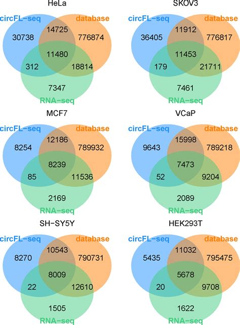 Figures And Data In Circfl Seq Reveals Full Length Circular Rnas With
