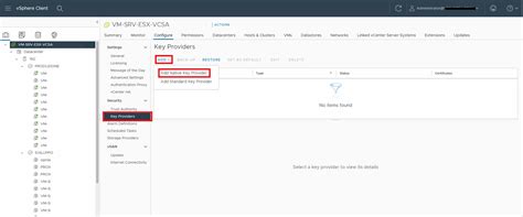Abilitazione E Configurazione Del Vtpm Su Vmware Esxi 7x