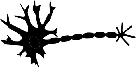 Svg Cell Biology Neuron Circle Free Svg Image And Icon Svg Silh