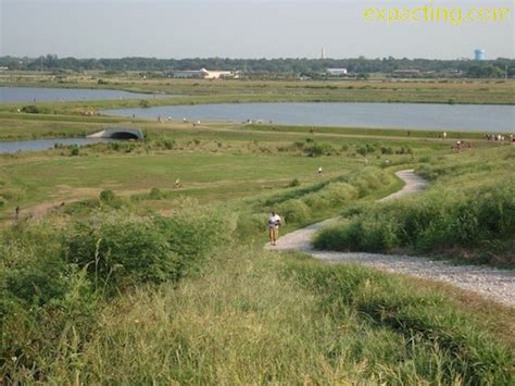 Celery Fields