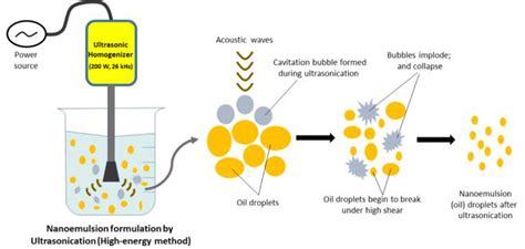 Nanoemulsion Formed By Ultrasonication Method Download Scientific Diagram