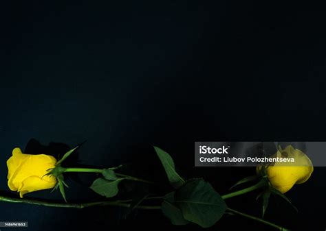 엽서 장례식 초대장 사망 메시지가있는 인터넷 배너로 사용할 수 있습니다 텍스트를위한 장소 포함 개념에 대한 스톡 사진 및 기타 이미지 Istock