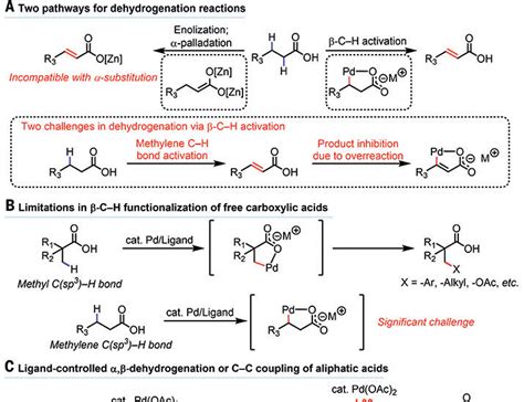 Dehydrogenation Reaction