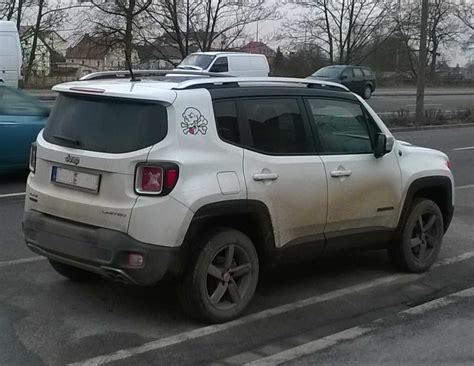 Erfahrungen mit dem Renegade ...