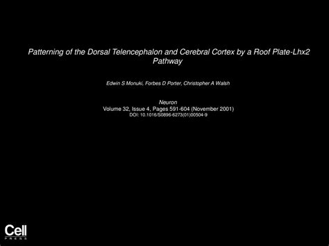 Edwin S Monuki Forbes D Porter Christopher A Walsh Neuron Ppt Download