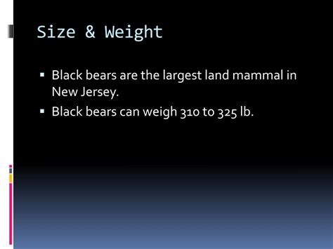 Ppt Black Bear Powerpoint Presentation Free Download Id 3110085