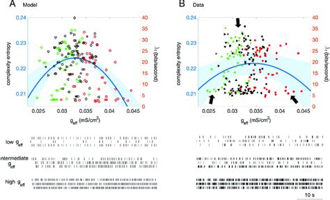 Inverted U Shaped Relationship Of Complexity Versus Effective Coupling
