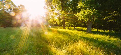 도심 속 힐링 스팟 소확행을 위한 아름다운 도시 숲 Best 5