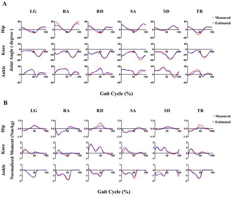 Estimation Of Lower Limb Joint Angles And Joint Moments During