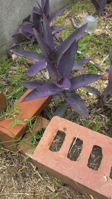 HTC EVO G LTE Vs HTC One Round Camera Pocketables