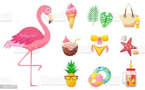 귀여운 여름 삽화 세트 음식 음료 조개껍데기 과일 해변 액세서리 플라밍고 여름철 해변 파티를 위한 요소 모음입니다 홍학에 대한