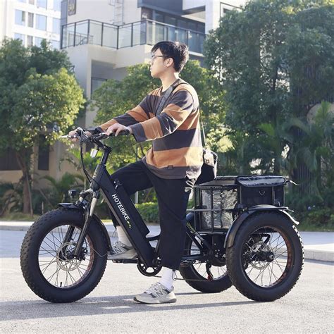 Super Power Electric Trike 3 Wheel Cargo Bike 48v Lithium Battery 500w