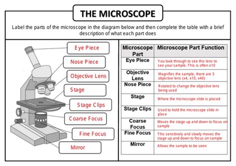 Microscope Worksheet Ks4 Teaching Resources