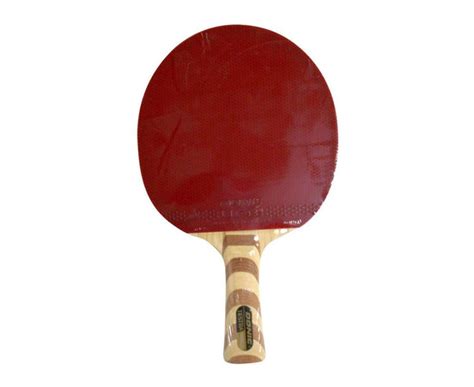 Ракетка для настольного тенниса Donic Testra Premium купить с доставкой по выгодным ценам в