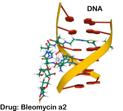 Ligand Small Molecule Biomacromolecular Structures