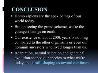 Tracing The Human Evolution Pptx