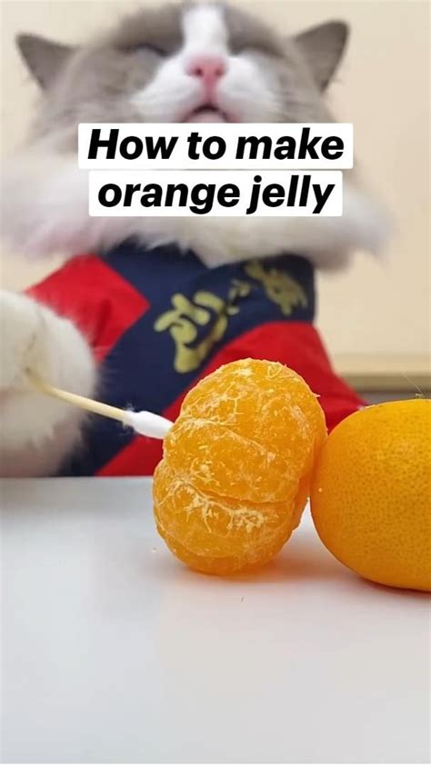 How To Make Orange Jelly Cat Makes Jelly At Home Artofit
