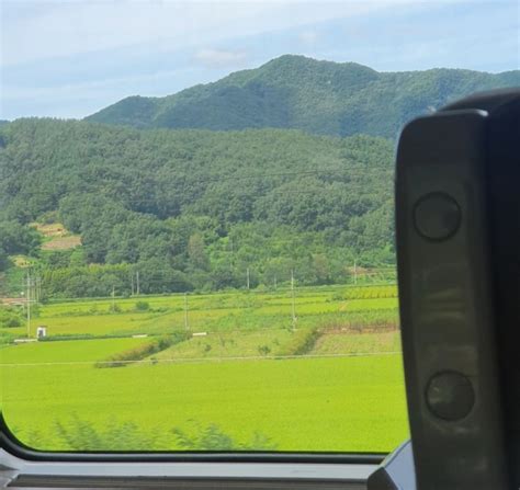 오픽 쉽다고 한 사람 누구야 오픽 두 번 다 망한 후기 토스로 갈아탐 네이버 블로그