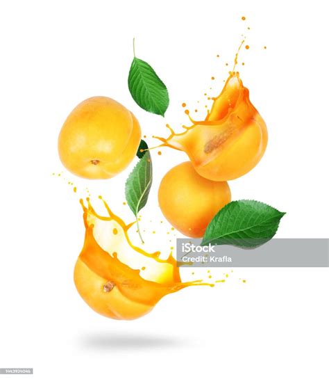 흰색 배경에 격리 된 공기 중에 주스가 튀는 전체 및 얇게 썬 살구 건강한 식생활에 대한 스톡 사진 및 기타 이미지 건강한 식생활 계절 과일 Istock