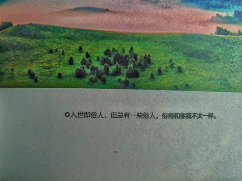 大冰《我不》 高清图片，堆糖，美图壁纸兴趣社区