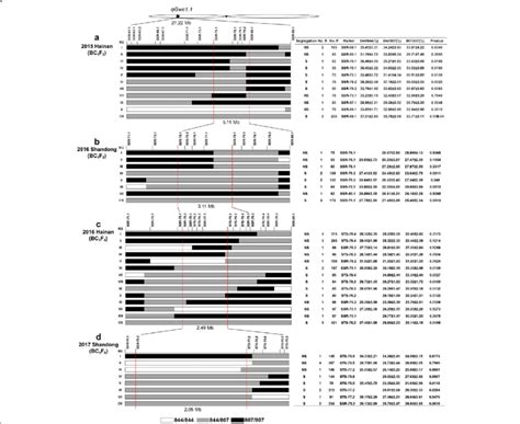 Sequential Fine Mapping Of The Major Qtl Qgwc11 A Fine Mapping Was