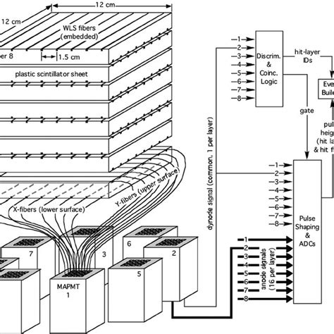 Pdf Design And Testing Of A Position Sensitive Plastic Scintillator Detector For Fast Neutron
