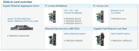 Inverse Multiplexer Ethernet Switch Platform